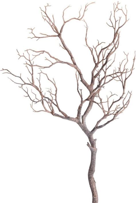 Kunstzweig Deko Ast Zweig Botanic Haus Höhe 96 Cm Deko Zweig