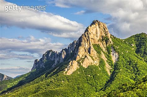 울산바위바위바위산정상봉우리설악산국립공원산나무숲풍경전경실외고성군강원도한국국내여행하늘구름파랑여름 이미지 A12142508 게티이미지뱅크