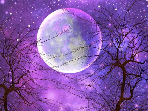 Luna Llena En Una Noche Estrellada Hd Descargar Fondo De Pantalla