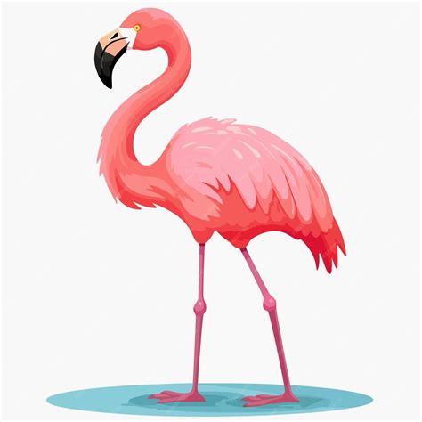 Ilustración De Dibujos Animados De Flamenco Rosado Vector Premium