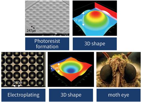 Biomimetics To Open Up A Sustainable Society Suzuki High Tech Inc
