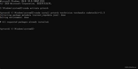 windows下pytorch安装教程 1 10 pytorch没有1 10 csdn博客