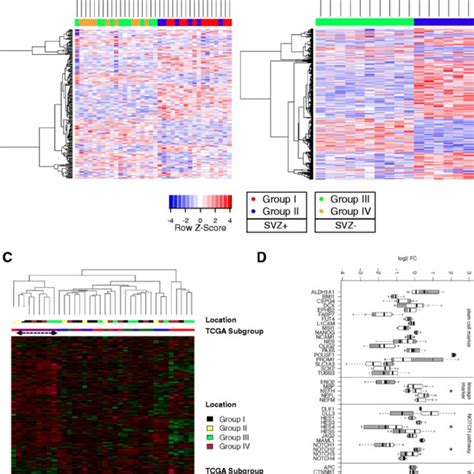 A B Hierarchical Clustering Of Mrna Microarray Data Revealed Two Main Download Scientific