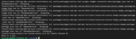 fix custom checks script from package json does not work