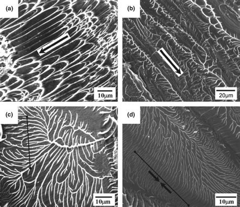 Sem Micrographs Revealing The Dynamic Compression Fracture Surface Of Download Scientific