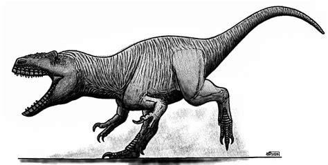 Allosaurus Anax Wiki Compendió De Vida Silvestre Fandom