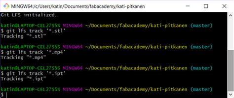 Kati Pitkänen Fab Academy 2018