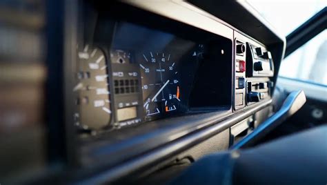 Do Grass Snakes Bite • Everyone Should Know This