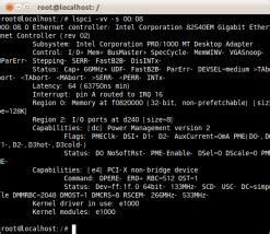 lspciコマンドについて詳しくまとめました Linuxコマンド集