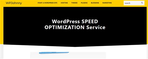 Best Wordpress Speed Optimization Services For 2024