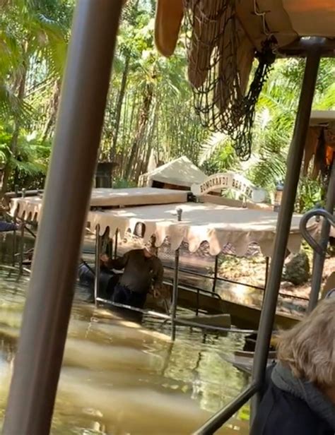Photos Images Surface Of Guests Clinging To Sinking Jungle Cruise Boat