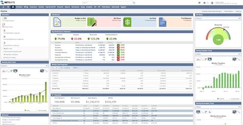 Netsuite Dashboard At Lucy Hynes Blog