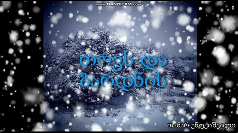 თოვს და ბარდნის Youtube