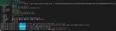 Turning My Dads Raspberry Pi Into A Crypto Miner Nicolas Gatiens Website