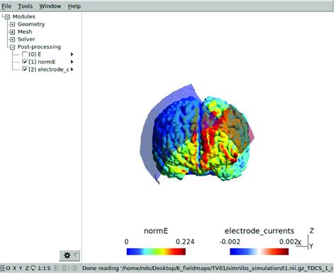 estimated electrical field for tdcs stimulation using simnibs