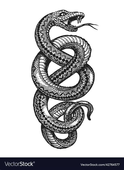 Coiled Snake Sketch Hand Drawn Vintage Royalty Free Vector