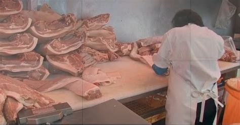 생으로 돼지고기 먹지 마세요 올해 들어 태국 이 질병 감염 500건·사망 24명