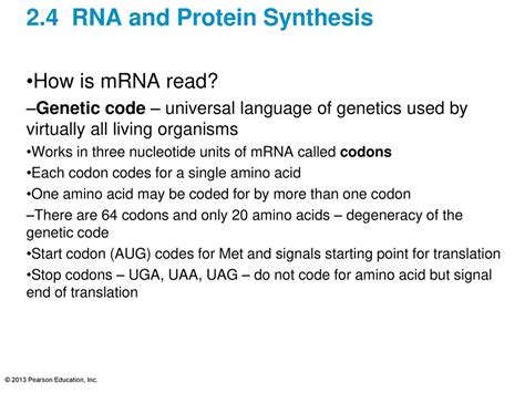 Biotechnology Genes And Genomes Ppt Download