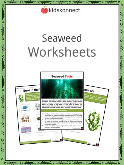 Seaweed Worksheets And Facts Types Uses Benefits Cultivation