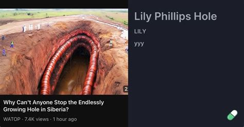 Lily Phillips Hole Lily Pump