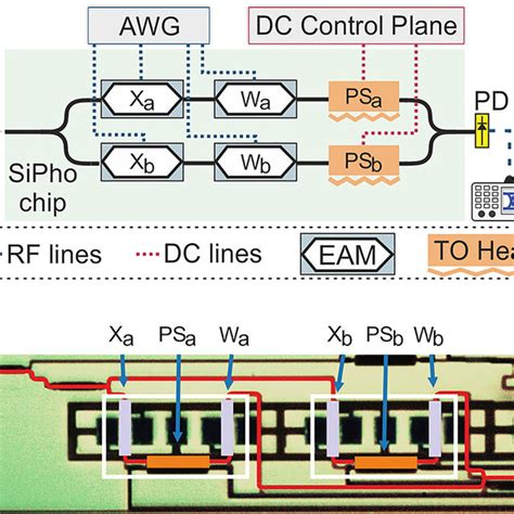 Linear Operator Architecture And Tmm A N × M Crossbar Architecture