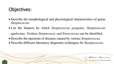 5 Streptococci And Enterococci Pdf