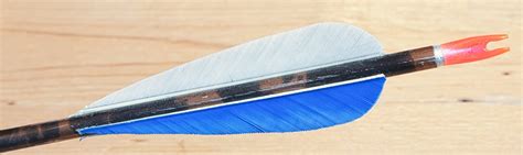 How To Position Arrow Fletching When Shooting Ssp Firearms