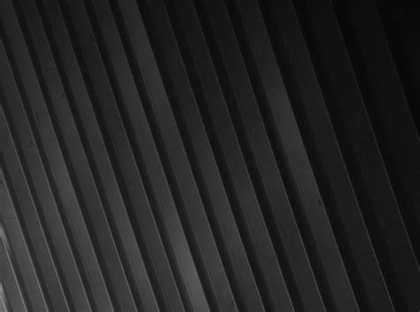 Low Code Software Development Tdvg