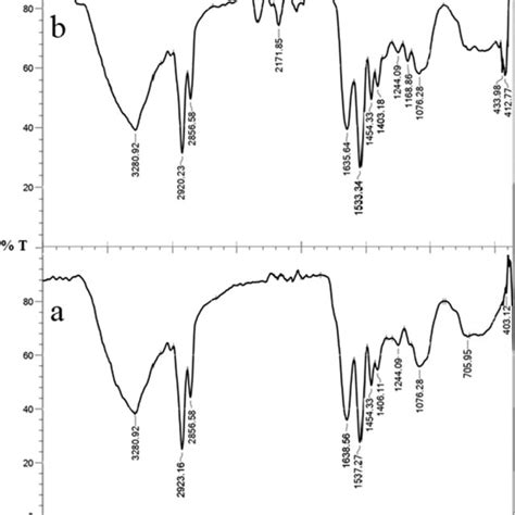 ftir analysis of modified socp a before adsorption b after