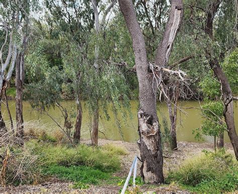 Moree Tourist Park Prices And Campground Reviews Australia