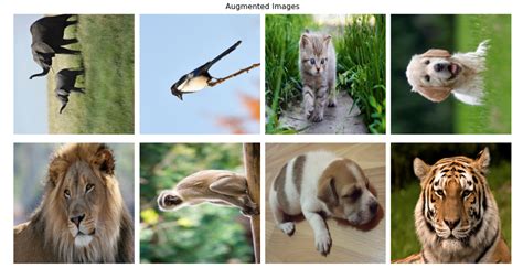 Jax（vmap And Pmap） Umbrella