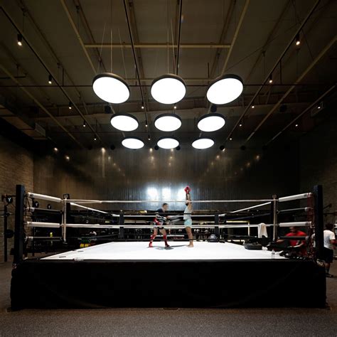 The Burrow By Lab100 Design Boxing Gym Gym Design Interior Boxing Club