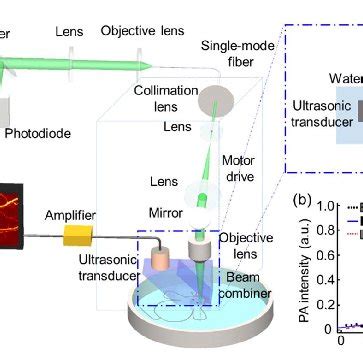 OR PAM System A OR PAM And MEMS OR PAM System Scheme B The ESF Download Scientific