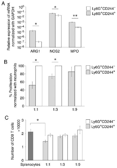 Ly6g Cd244 Cells Function As Pmn Mdscs Spleens Were Harvested From