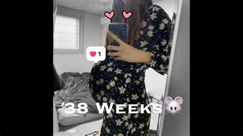 Vlog 변함없는 임산부와 강아지 일상 브이로그feat어떻게 2주동안 먹기만 Youtube