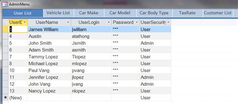 Ms Access Car Rental Database