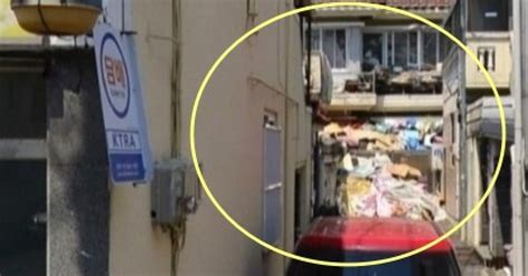 7년 전 방송 나왔던 쓰레기 집 다시 쓰레기 쌓였다