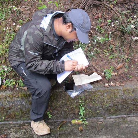 Can We Consider The Gram Negative Genera Pseudomonas Under New Phylum