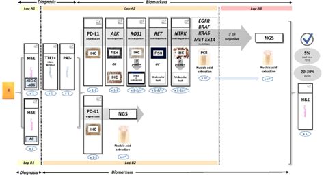 Updated Protocol For Multiple Biomarker Testing On Samples From