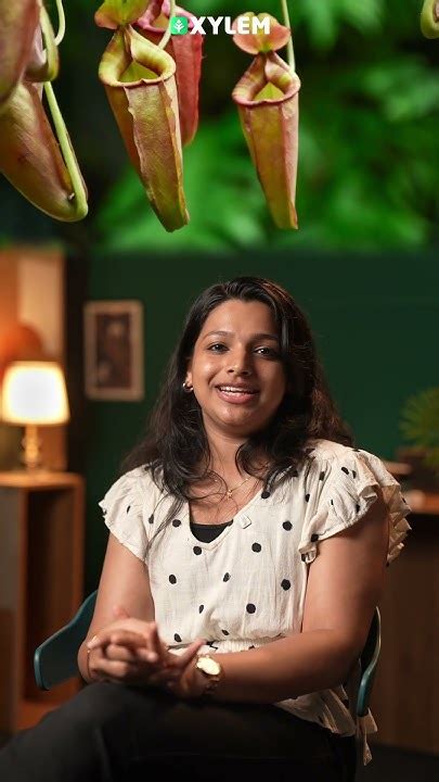 ഈ Important Topic വിട്ടുപോവരുത് Xylem Class 7 Youtube