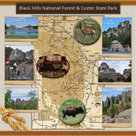 Black Hills Custer State Park Section Page Sequoia National Park