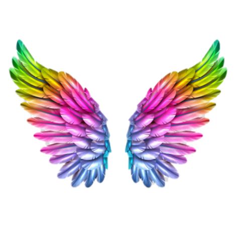 Marsexplorer Profiles Wings Drawing Angel Wings Art Angel Wings Drawing
