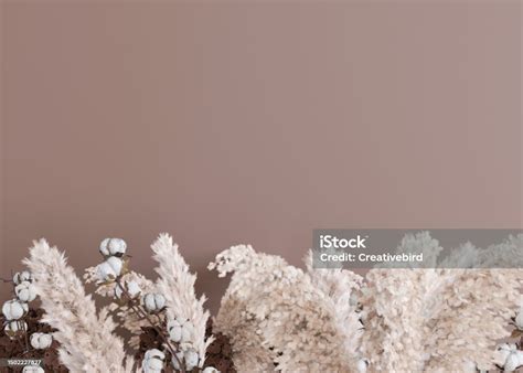 갈색 배경에는 마른 식물과 텍스트를 위한 빈 공간이 있다 복사 공간이 있는 아래쪽 테두리 현실적인 팜파스 풀과 목화 식물 3d 렌더링 0명에 대한 스톡 사진 및 기타 이미지
