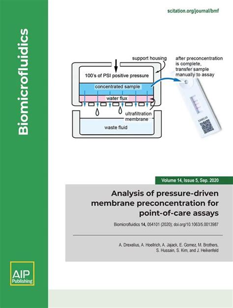 Analysis Of Pressure Driven Membrane Preconcentration For Point Of Care Assays