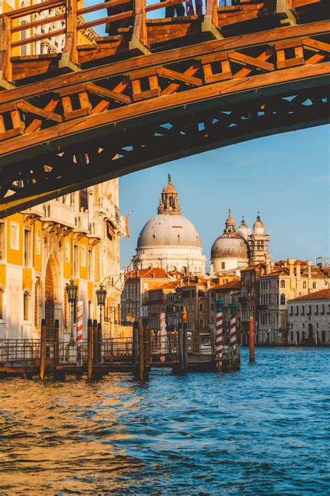 우리 안의 베니스