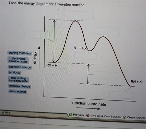 Solved Label The Energy Diagram For A Two Step Reaction R