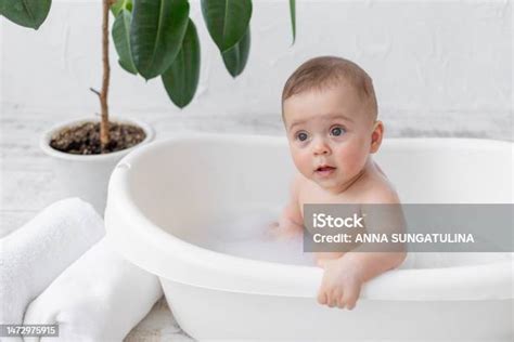 8 개월 된 작은 소년은 거품과 비누 방울이있는 욕조에서 목욕을하고 텍스트를위한 장소 6 11 개월에 대한 스톡 사진 및 기타 이미지 6 11 개월 가정의 방 건강