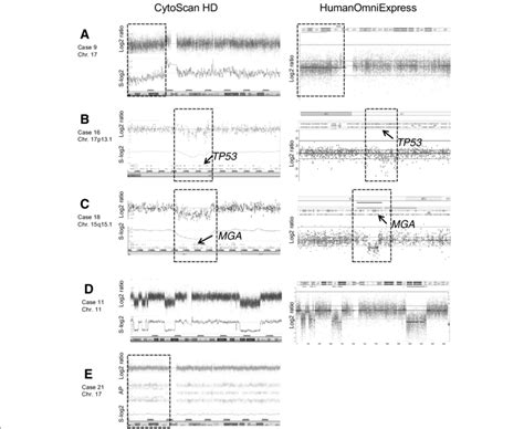 Examples Of Microarray Based Genomic Profiles Microarray Based Genomic Download Scientific