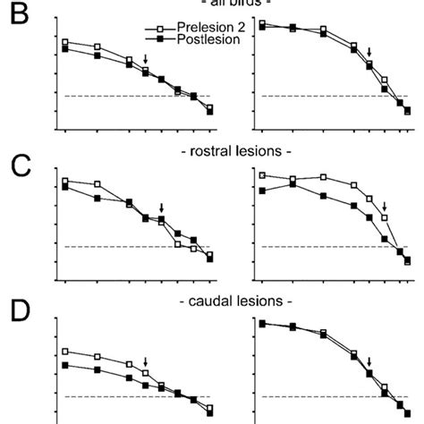 Performance On The Motion Left And Grating Right Tasks The Average