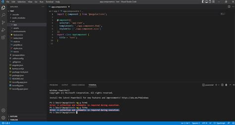 Typescript Angular 14 Error A Collection And Schematic Is Required